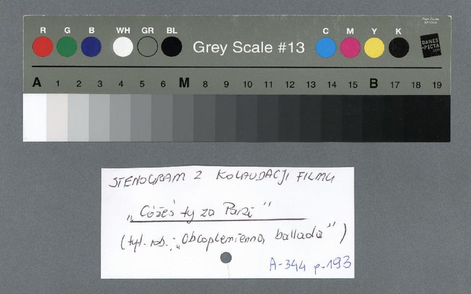 Stenogram kolaudacji filmu "...Cóżeś ty za pani..."